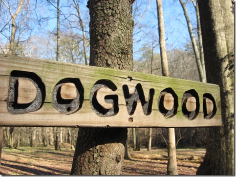 Walking in Mountain Brook - Southern Hospitality